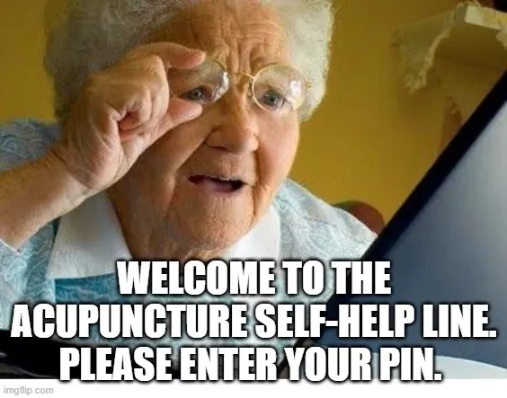 WELCOME TO THE ACUPUNCTURE SELF-HELP LINE. PLEASE ENTER YOUR PIN. meme ...