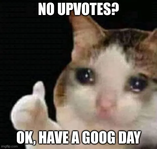 NO UPVOTES? OK, HAVE A GOOG DAY meme - Piñata Farms - The best meme ...