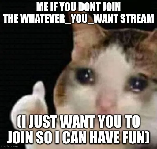 ME IF YOU DONT JOIN THE WHATEVER_YOU_WANT STREAM; (I JUST WANT YOU TO ...