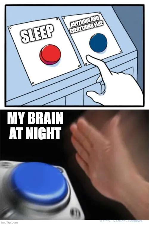 ANYTHING AND EVERYTHING ELSE; SLEEP; MY BRAIN AT NIGHT meme - Piñata ...