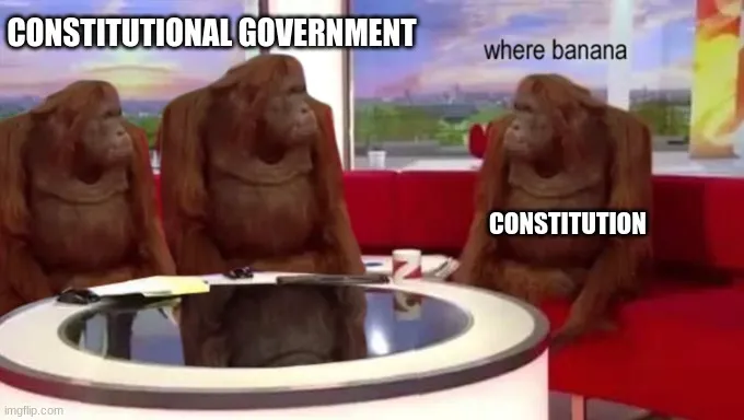 CONSTITUTIONAL GOVERNMENT; CONSTITUTION meme - Piñata Farms - The best ...