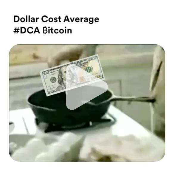 Dollar Cost Average #DCA Bitcoin video meme - Piñata Farms - The best ...