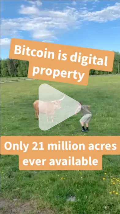 #bitcoin is digital property video meme - Piñata Farms - The best meme ...