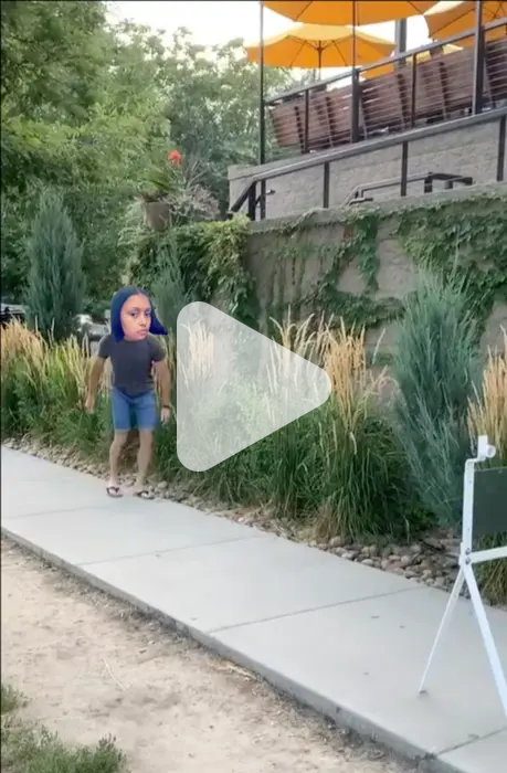 Damn video meme - Piñata Farms - The best meme generator and meme maker ...