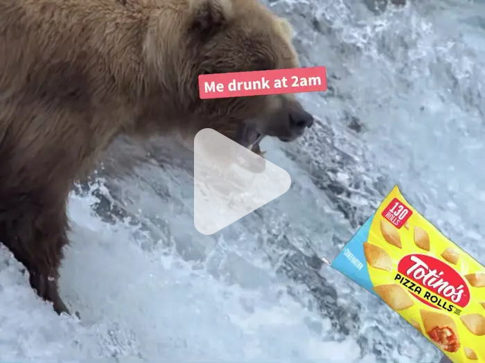 Drunk at 2am and pizza rolls just hit different #verifysaltine video ...