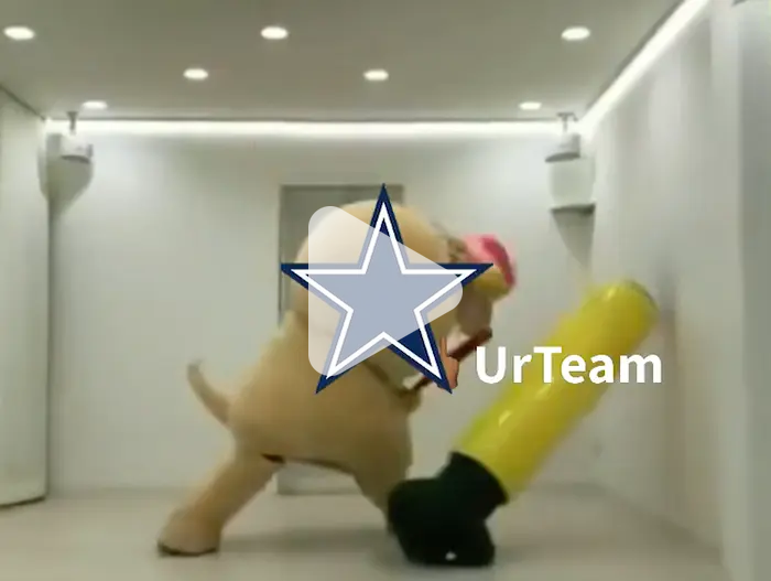 how i feel about every other team in the NFL……. #DC4L video meme ...