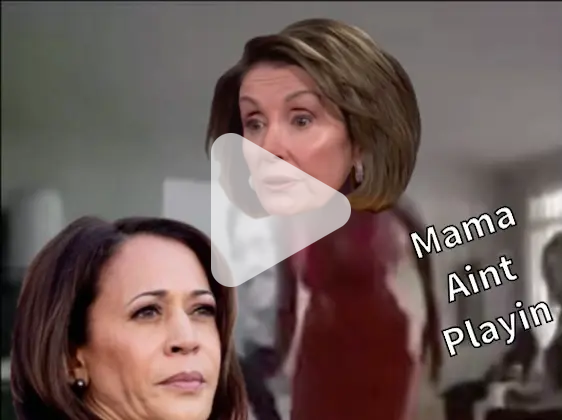 Video Meme - Piñata Farms - The best meme generator and meme maker for video & image memes