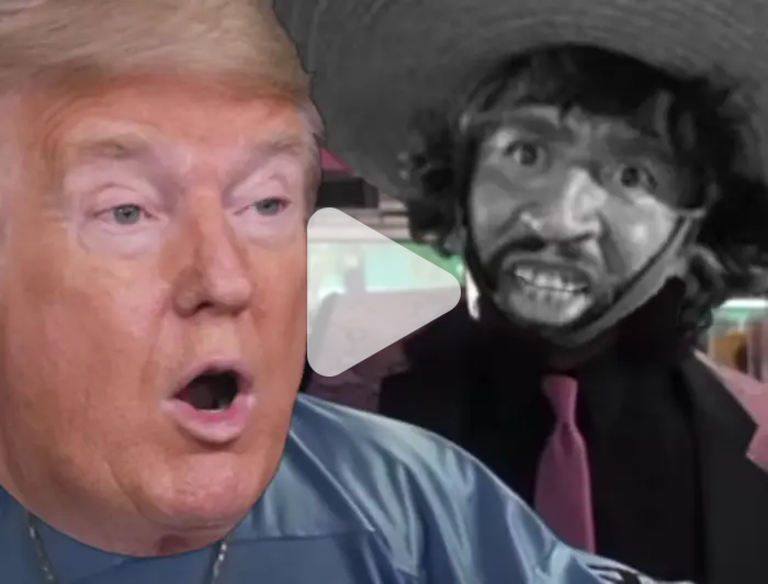 everybody ain't gone be pushed around by trump #whosentyou video meme ...