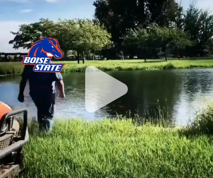 damn video meme - Piñata Farms - The best meme generator and meme maker ...