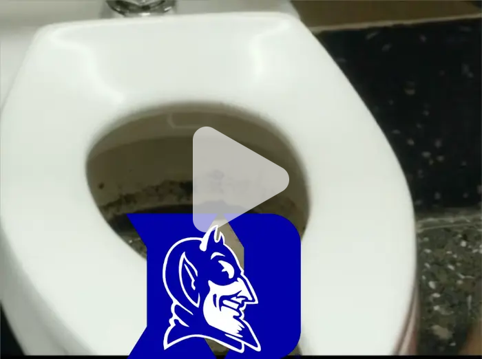 Don’t forget to wash your Dookie down the toilet today video meme ...
