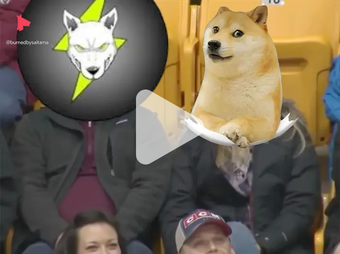 #volt #voltinuu #voltichange #kabosu #kabousinu video meme - Piñata ...