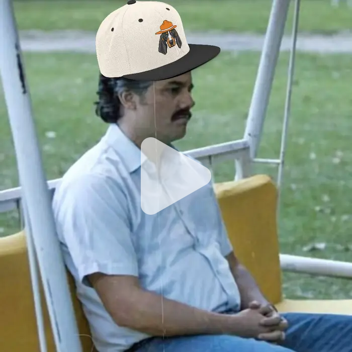 Video Meme - Piñata Farms - The best meme generator and meme maker for ...