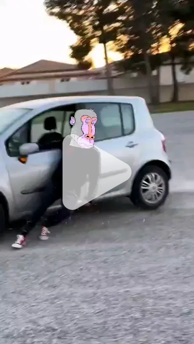 #hbarcar #boonish #hbar video meme - Piñata Farms - The best meme ...