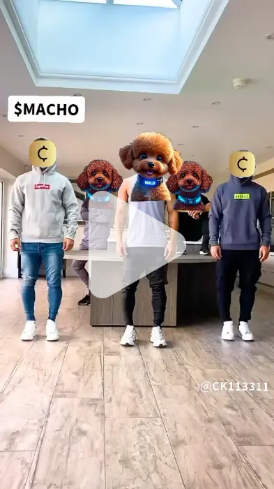 $MACHO video meme - Piñata Farms - The best meme generator and meme ...