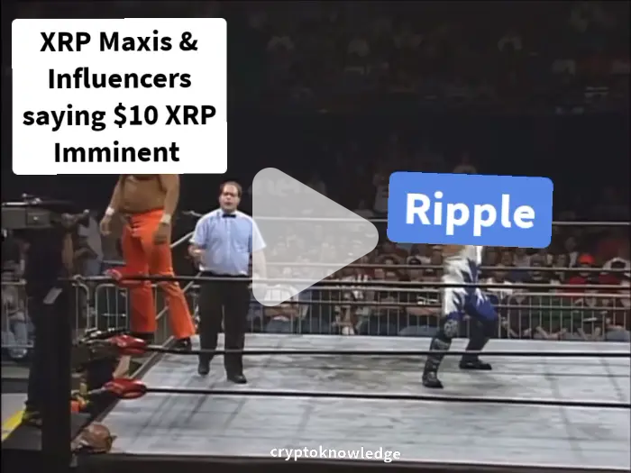 stupid XRP maxis #xrp #ripple video meme - Piñata Farms - The best meme ...