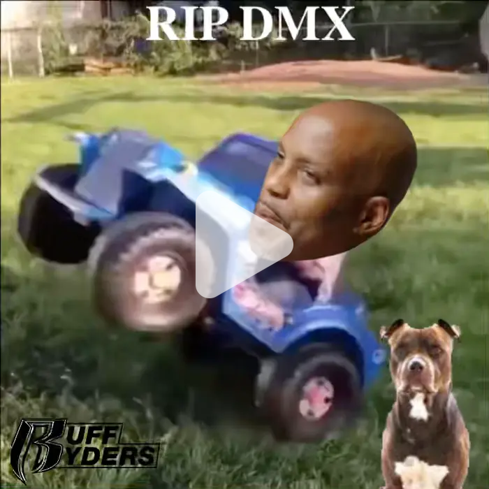 𝕃𝕠𝕟𝕘 𝕝𝕚𝕧𝕖 𝔼𝕒𝕣𝕝 𝕊𝕚𝕞𝕞𝕠𝕟𝕤 𝕓𝕜𝕒 𝕋𝕙𝕖 𝔻𝕠𝕘 𝔻𝕄𝕏 🐶 #dmx #earlsimmons #rip # ...