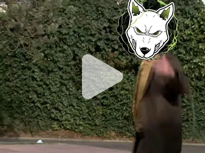 fewer volting choices video meme - Piñata Farms - The best meme ...