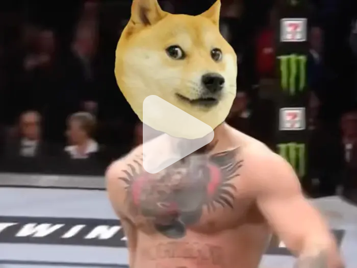 Doge coin to the moon video meme - Piñata Farms - The best meme ...