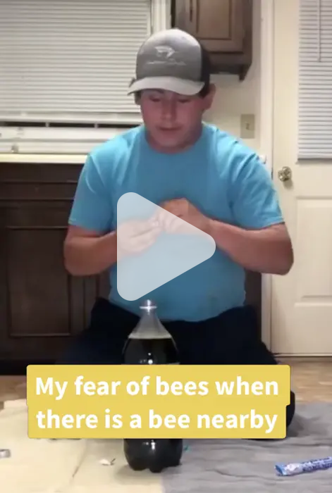 NOT A BEE video meme - Piñata Farms - The best meme generator and meme ...