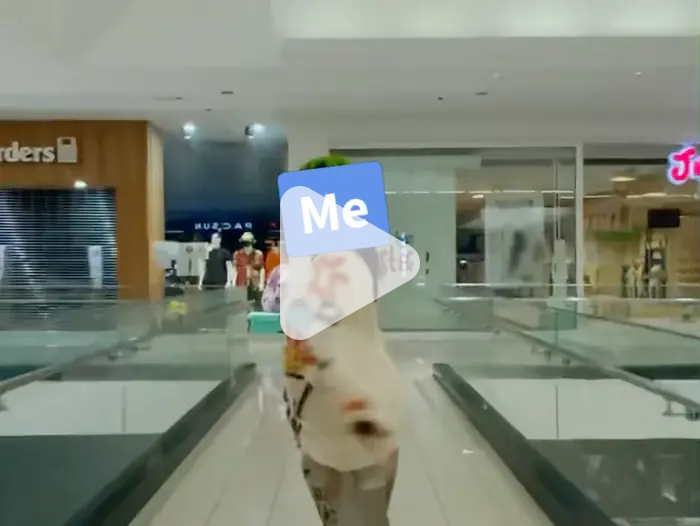 Me chillin at the mall when I’m 13 😂 video meme - Piñata Farms - The ...