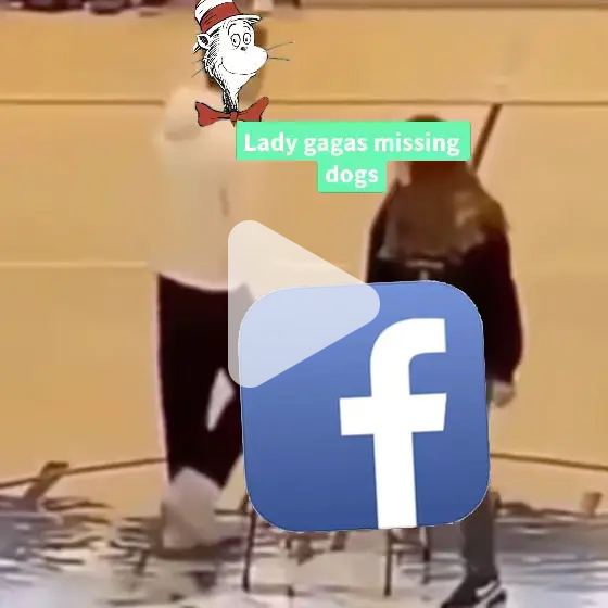 Wonder what the next distraction on social media will be video meme ...