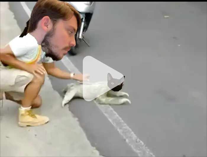 Carrying Binx to the sink after he steps into his own business for ...