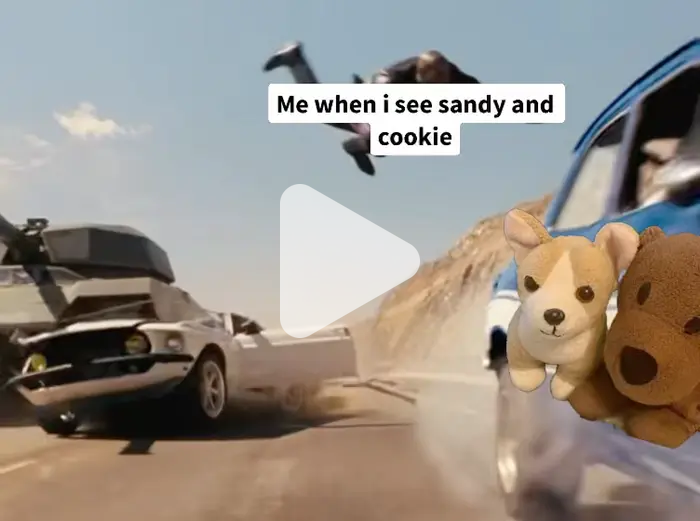 Sassy, classy, happy😂 video meme - Piñata Farms - The best meme ...