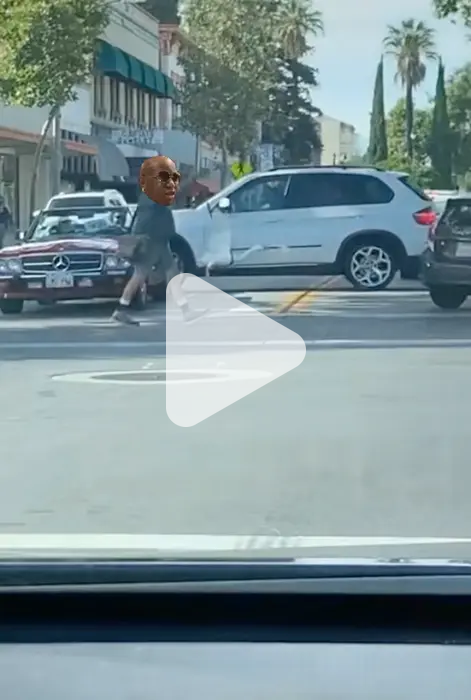 @Birdman taking a walk in retirement 🦆 video meme - Piñata Farms - The ...