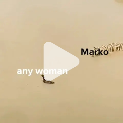 @marko 🗿 video meme - Piñata Farms - The best meme generator and meme ...