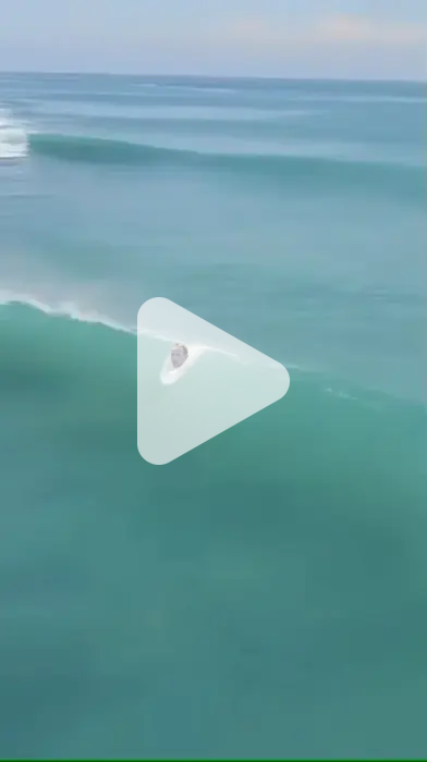 Surf’s up, Zuck 🤟🤟🤟 video meme - Piñata Farms - The best meme generator ...