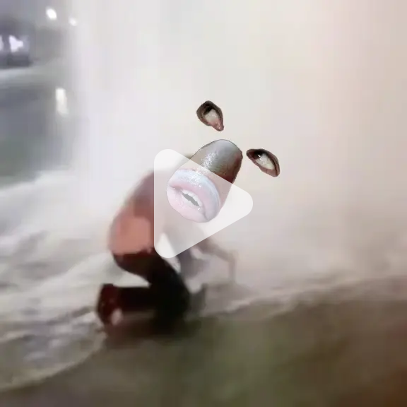 It’s a thankless job but someone’s gotta do it. video meme - Piñata ...