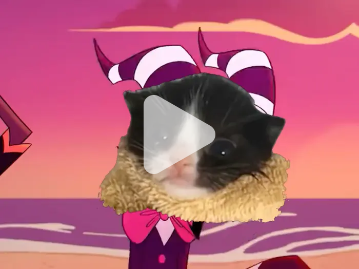 A cat is a possum confirmed video meme - Piñata Farms - The best meme ...