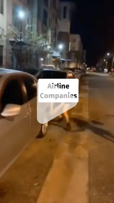 Billion dollar cooperations constantly being bailed out 🙄 video meme ...