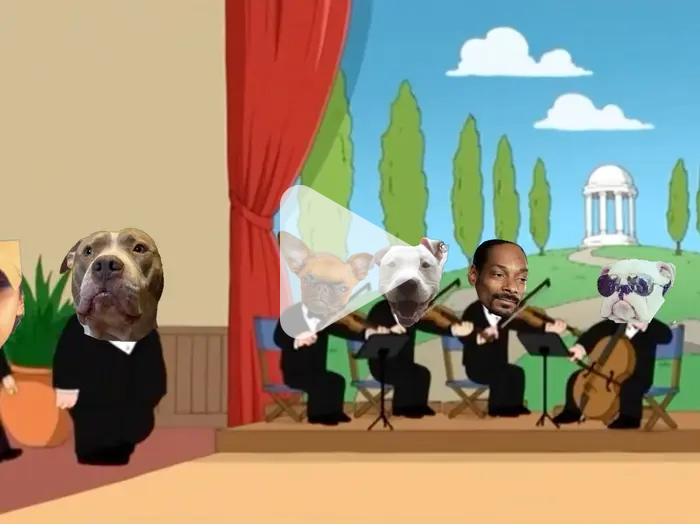 When I use to take my boy to partys… #dog #dogs #pinatafarm video meme ...
