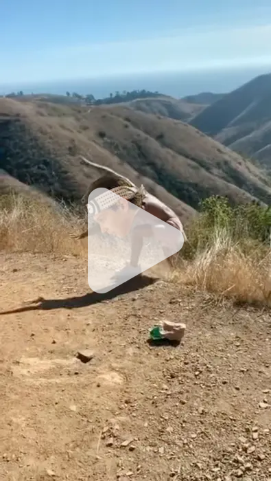 Hawk helps Daniel video meme - Piñata Farms - The best meme generator ...