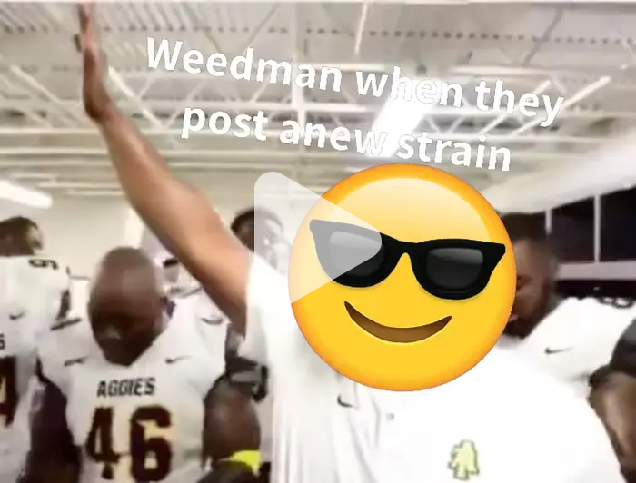 Plugs when they post a new strain video meme - Piñata Farms - The best ...