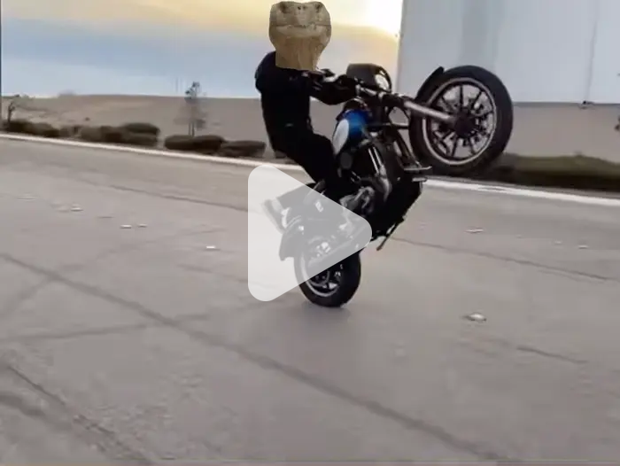 Rocco Doin a Wheelie video meme - Piñata Farms - The best meme ...