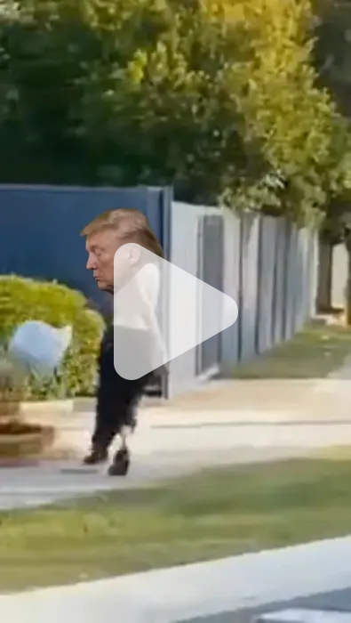 TMZ did in fact confirm that Donald Trump was roaming the streets today ...