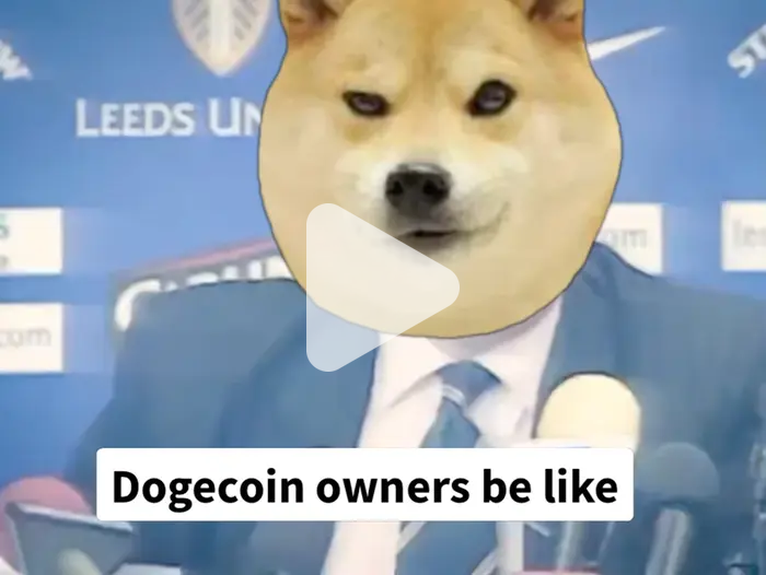 We live the dream #doge video meme - Piñata Farms - The best meme ...
