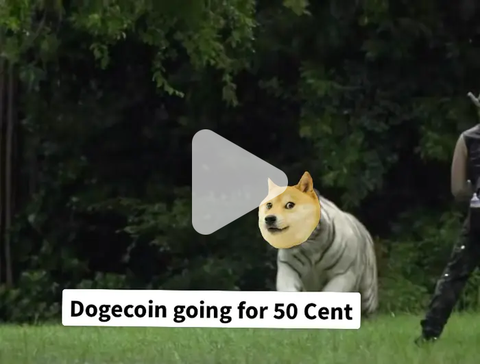 Doge in its natural habitat video meme - Piñata Farms - The best meme generator and meme maker ...
