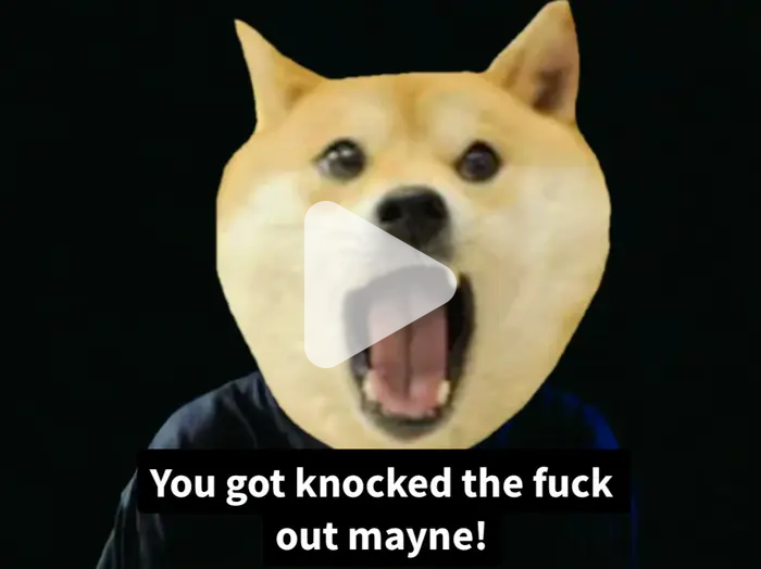 Knock tf out mayne #doge video meme - Piñata Farms - The best meme ...