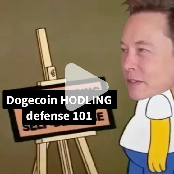 How to HODL #doge video meme - Piñata Farms - The best meme generator ...