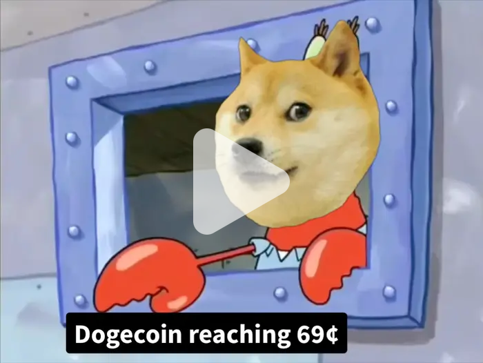 Please dont be that guy #doge will do its thing video meme - Piñata ...