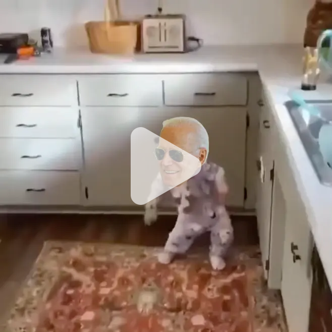 When u are cool little man video meme - Piñata Farms - The best meme ...