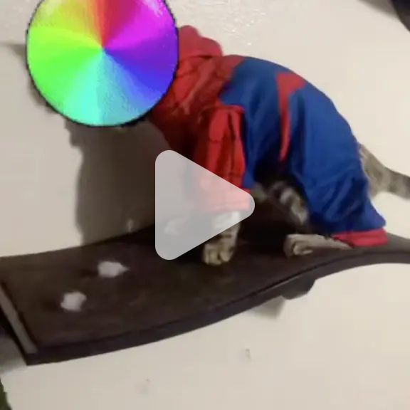 RIP project due at midnight video meme - Piñata Farms - The best meme ...