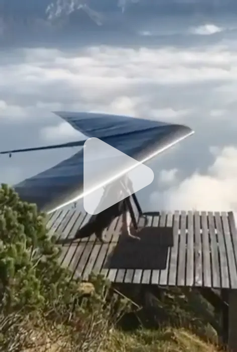 Oh ya, the spam is real this evening ladies and gentlemen video meme ...