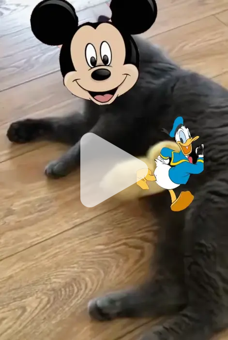 mickey mouse when hes had enough of his $h!t video meme - Piñata Farms ...