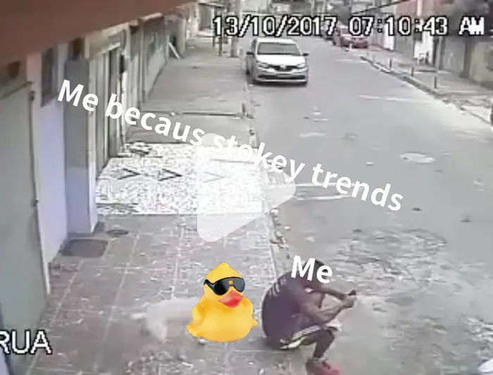 @stonkey video meme - Piñata Farms - The best meme generator and meme ...