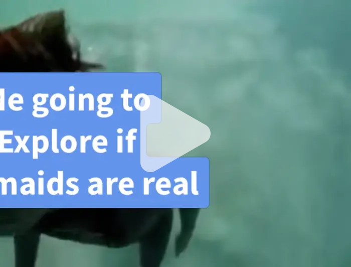 H20 video meme - Piñata Farms - The best meme generator and meme maker ...