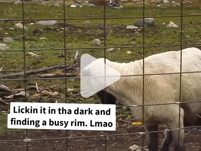 #FingerLickingGood #KFC should serve goat. :-) video meme - Piñata ...